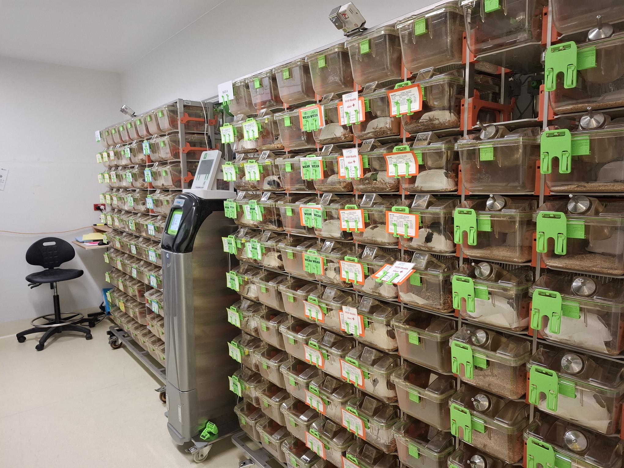 BR-SCMB | various species - Biological Resources - University of Queensland